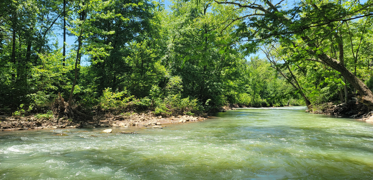 Our Patina Finish on Guardrail in Arkansas - Natina Portfolio