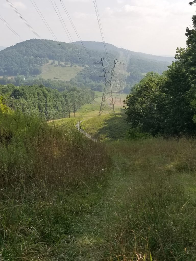 Natina’s Seamless Integration of Lattice Towers in Virginia | Natina