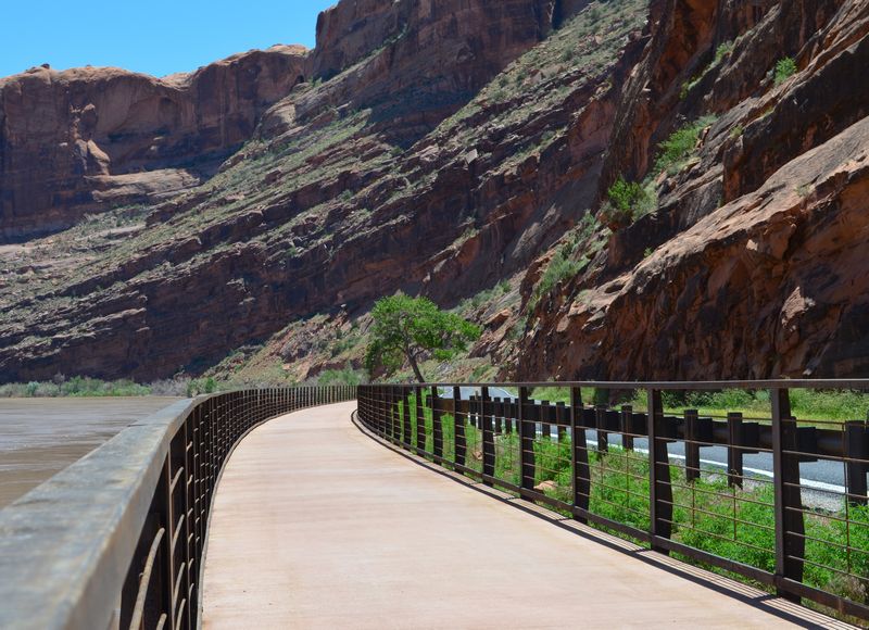 Natural Brown Steel Barrier System Enhances Scenery and Trails at Lion ...