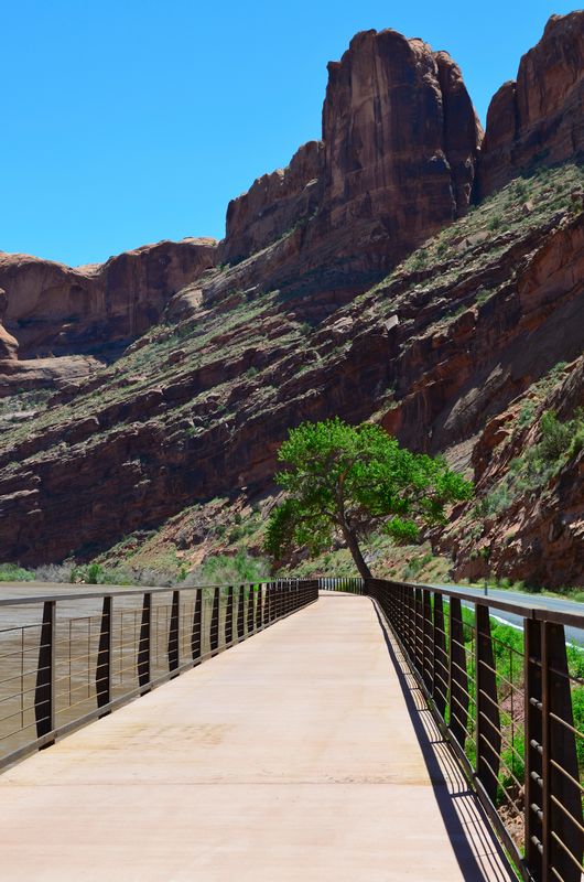 Natural Brown Steel Barrier System Enhances Scenery and Trails at Lion ...