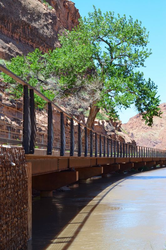 Natural Brown Steel Barrier System Enhances Scenery and Trails at Lion ...