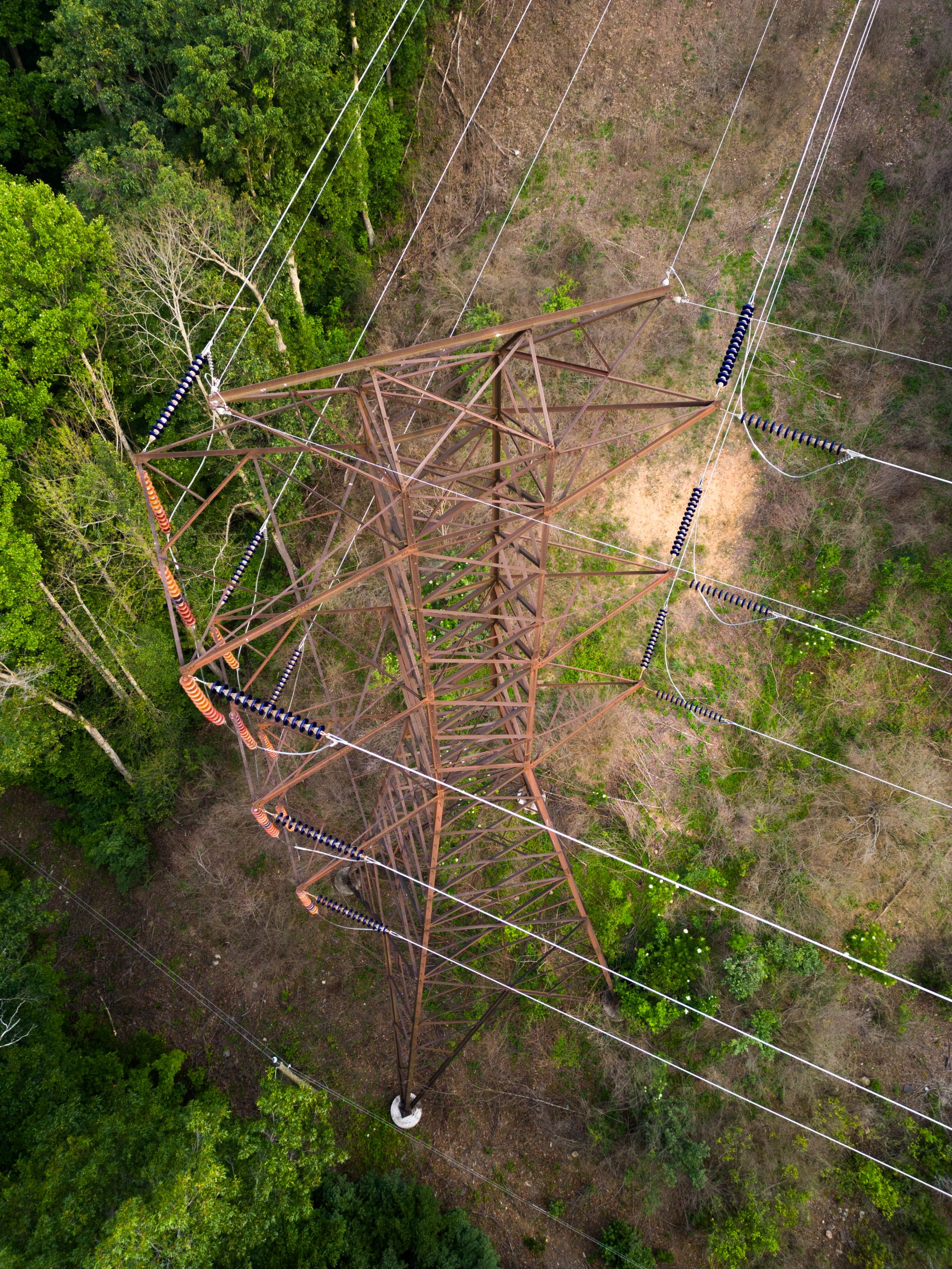 Natina’s Seamless Integration of Lattice Towers in Virginia | Natina
